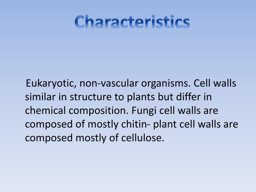 PPT - By: Jim Debiec Brittany Aviles Amanda Lorah PowerPoint ...