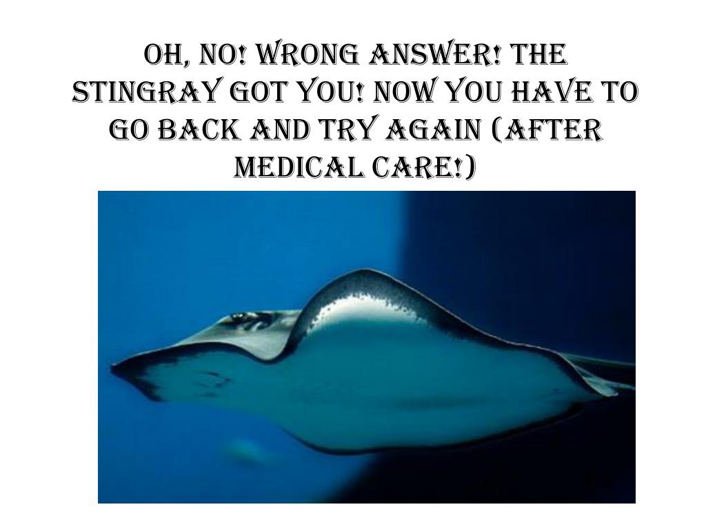 PPT - Ooh argh! My maties ! You are about to embark on a water pirate ...