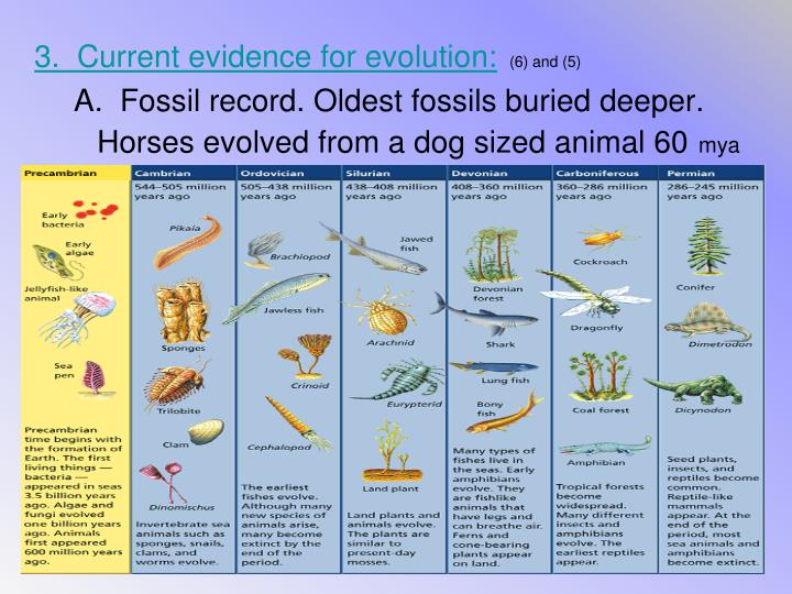 PPT - Warm Up: Feb 27 th PowerPoint Presentation - ID:2105996