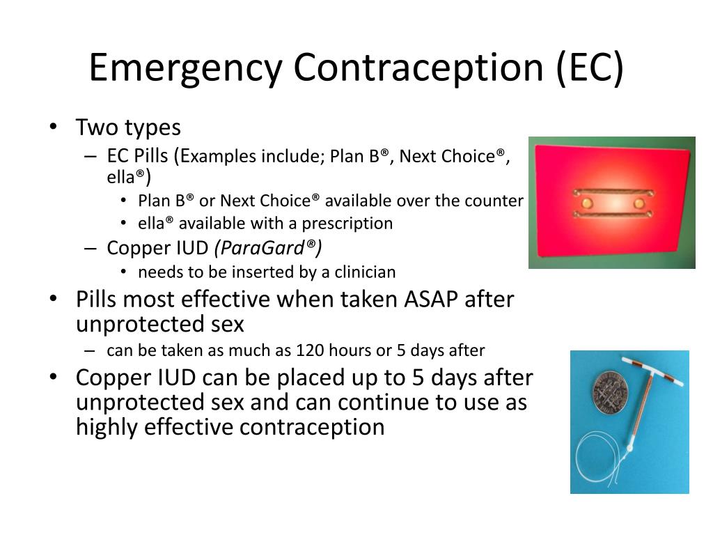 Ppt Understanding Contraception Powerpoint Presentation Free