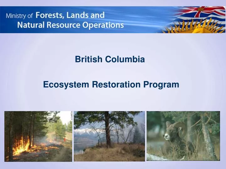 PPT - British Columbia Ecosystem Restoration Program PowerPoint Presentation - ID:2106115