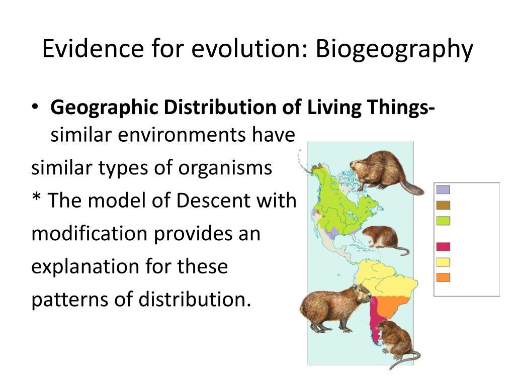 PPT - CHAPTER 15 PowerPoint Presentation, free download - ID:2106362