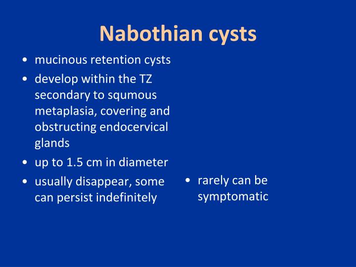 PPT - Cervix uteri PowerPoint Presentation - ID:2106503