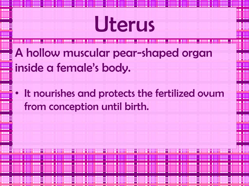 PPT - Female Reproductive System PowerPoint Presentation, free download ...