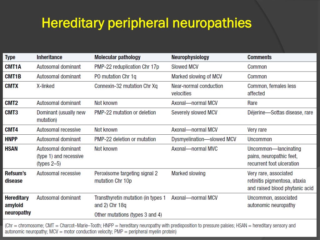 PPT - Prepared by: Dr. Sarwer Jamal Al- Bajalan M.B.Ch.B , F.I.B.M.S ...