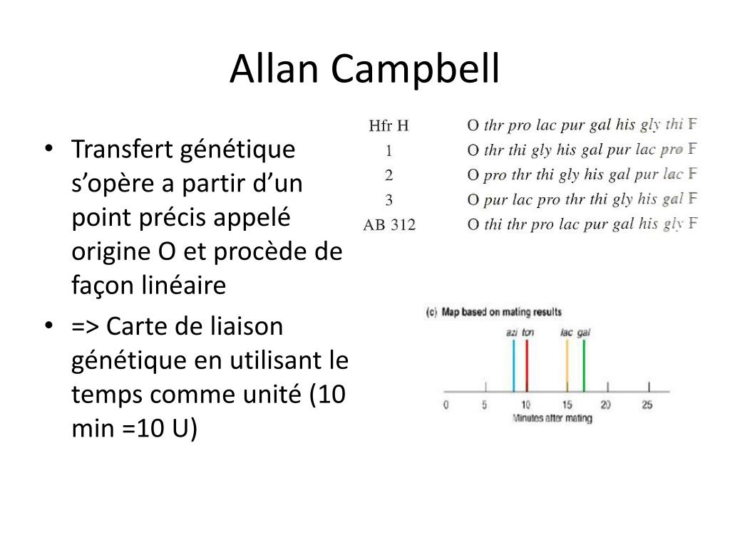 PPT - La transmission de l’information génétique (2) PowerPoint ...