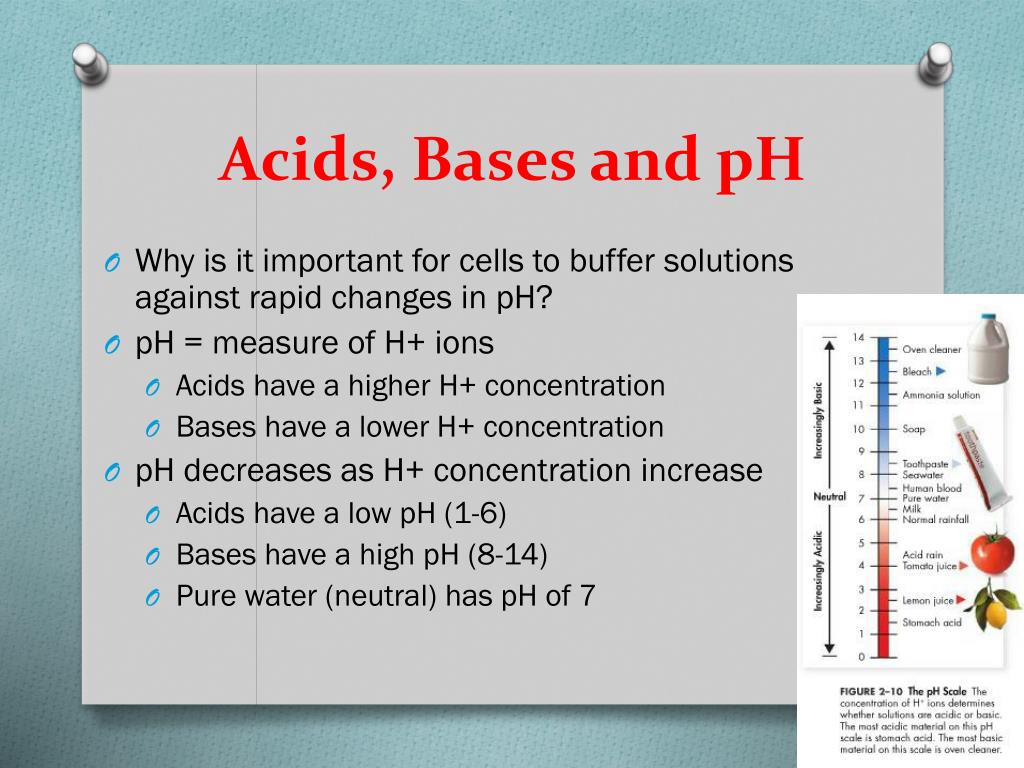 PPT - 2.1 Nature of Matter 2.2 Properties of water 2.3 Carbon compounds ...