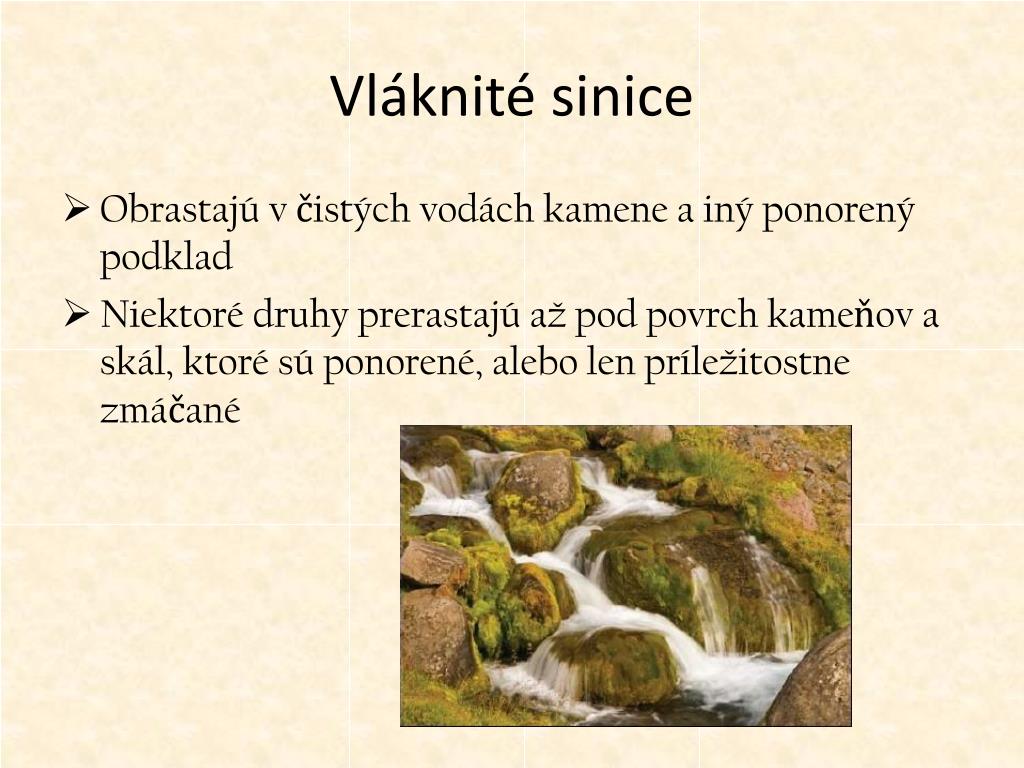 PPT - Riasy a sinice ako kozmopolitné organizmy PowerPoint Presentation ...