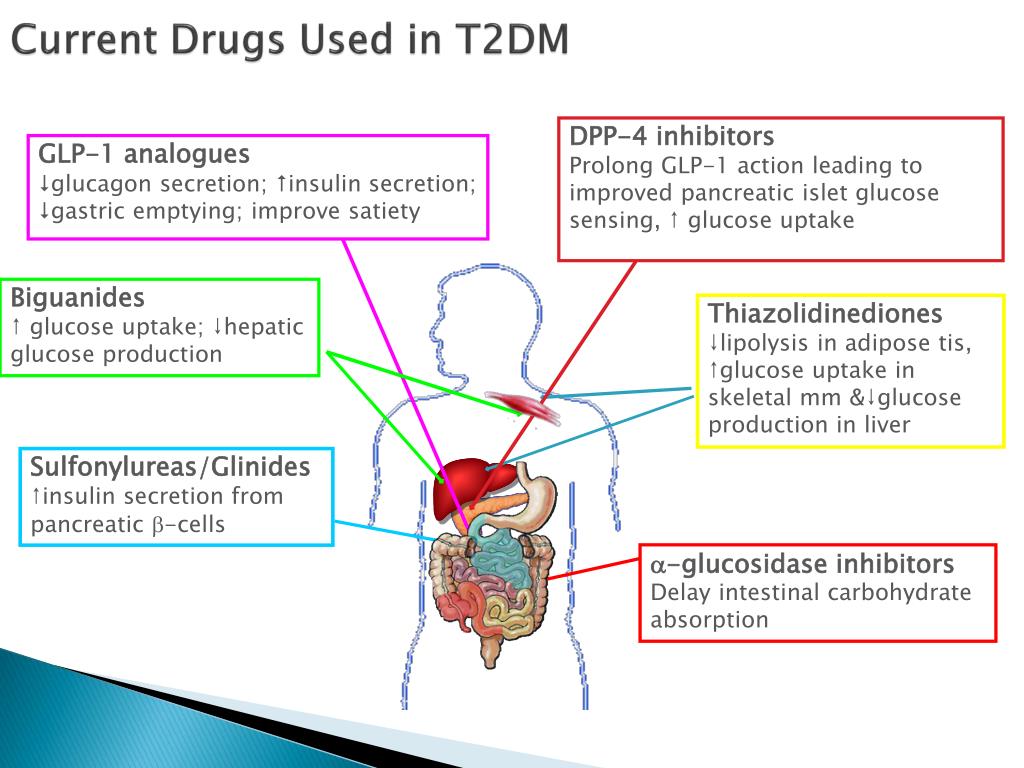 PPT - Role of Combination Therapy in Type II Diabetes PowerPoint ...