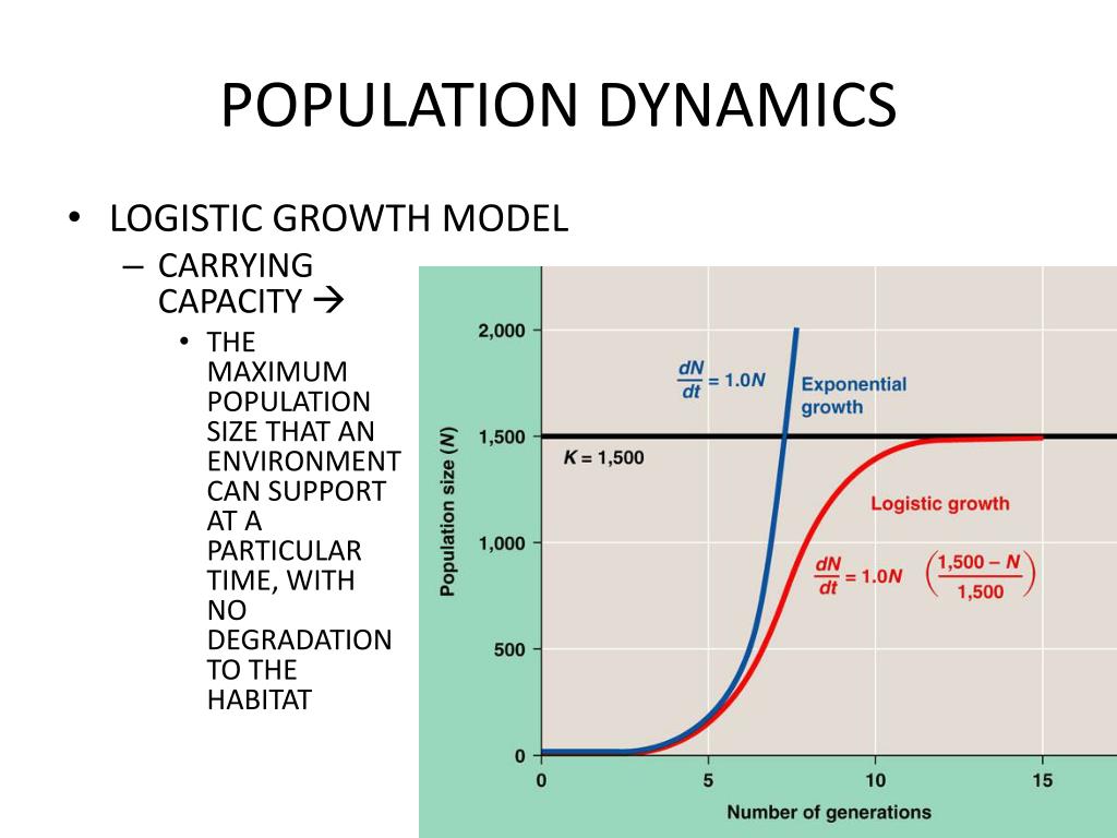PPT - POPULATION DYNAMICS PowerPoint Presentation, free download - ID ... PPT - POPULATION DYNAMICS PowerPoint Presentation, free download - ID ...
