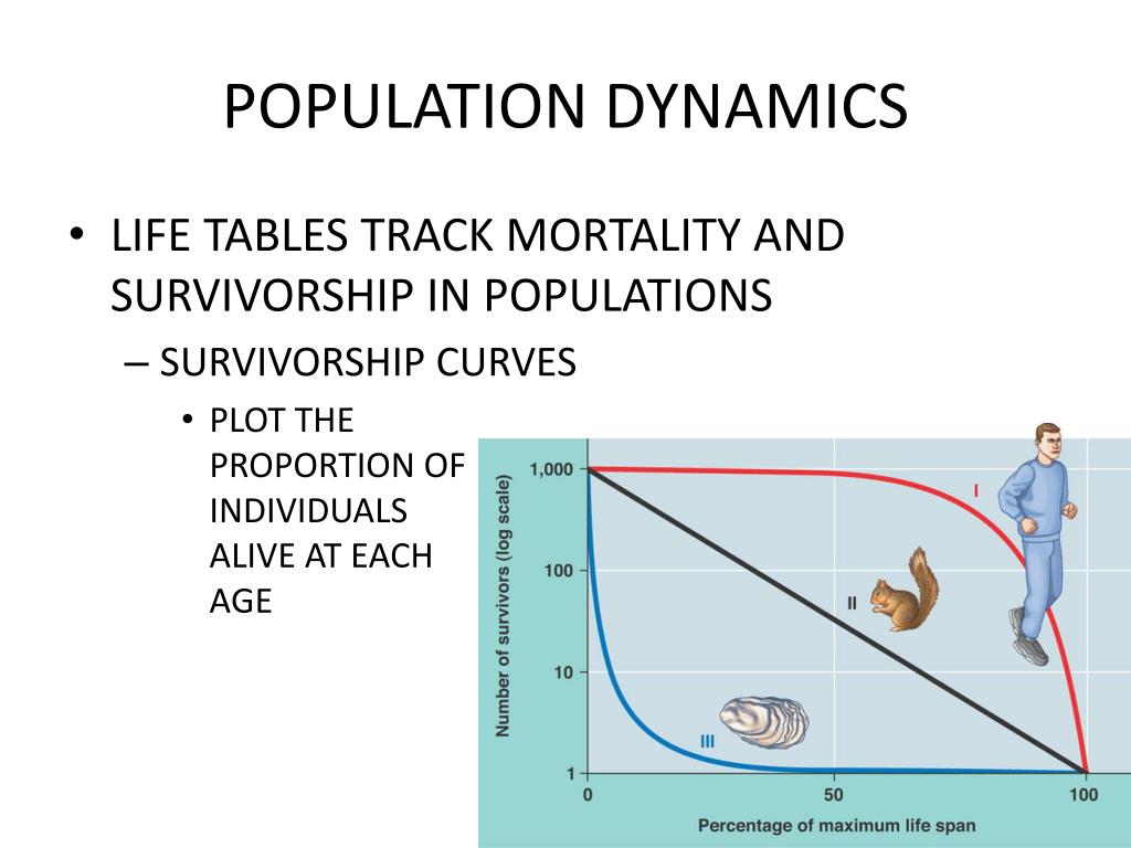 PPT - POPULATION DYNAMICS PowerPoint Presentation, free download - ID ... PPT - POPULATION DYNAMICS PowerPoint Presentation, free download - ID ...