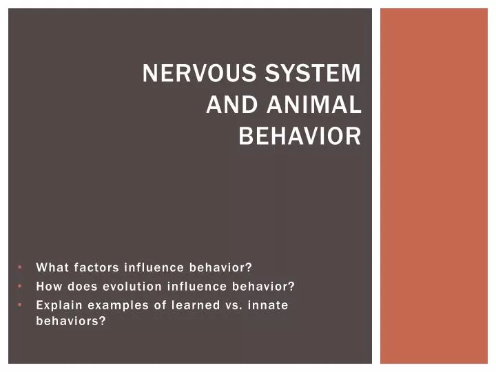 PPT - Nervous System and Animal Behavior PowerPoint Presentation, free ...