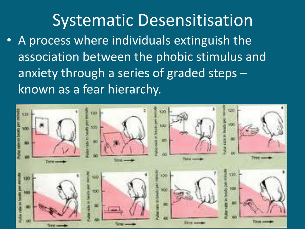 PPT - Understanding Phobias: An Overview of Anxiety Disorders ...