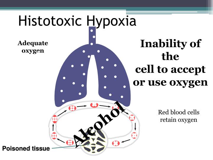 PPT - Hypoxia PowerPoint Presentation - ID:2108626