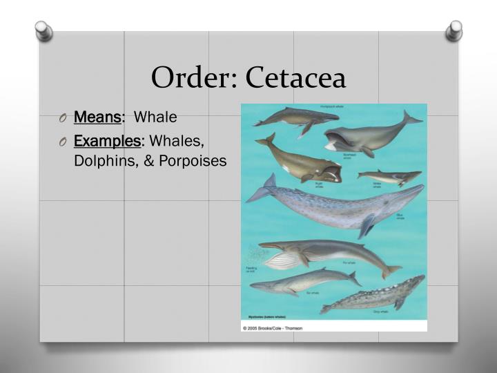 PPT - Wakefield 2014 PowerPoint Presentation - ID:2108861