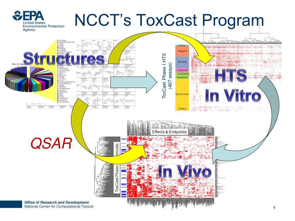 PPT - Tox21 & ToxCast Chemical Landscapes: Laying the Foundation for 21 ...