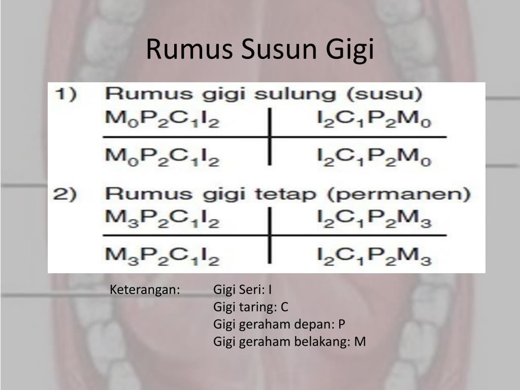 PPT - SISTEM PENCERNAAN MANUSIA PowerPoint Presentation, free download ...