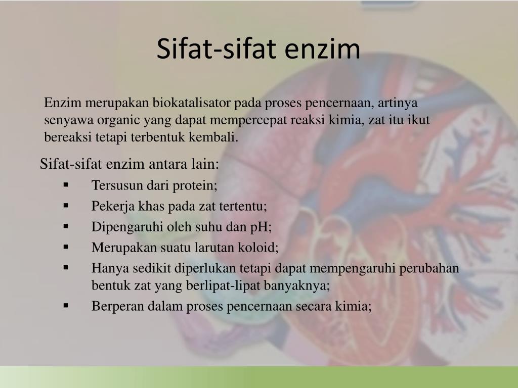 PPT - SISTEM PENCERNAAN MANUSIA PowerPoint Presentation, free download ...