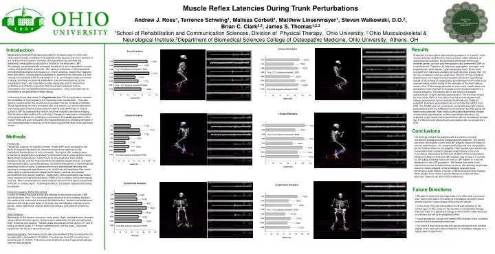 PPT - Muscle Reflex Latencies During Trunk Perturbations PowerPoint ...