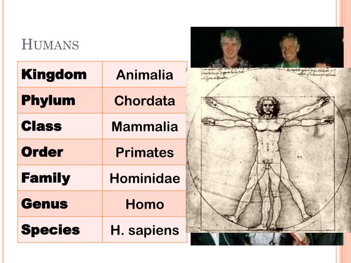 PPT - What do you know?!? PowerPoint Presentation - ID:2109324