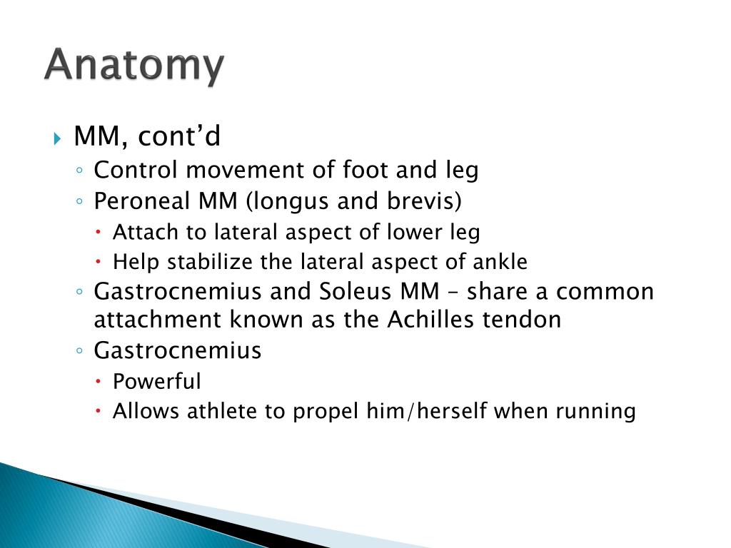 PPT - Foot, Ankle, and Lower-Leg Injuries PowerPoint Presentation, free ...