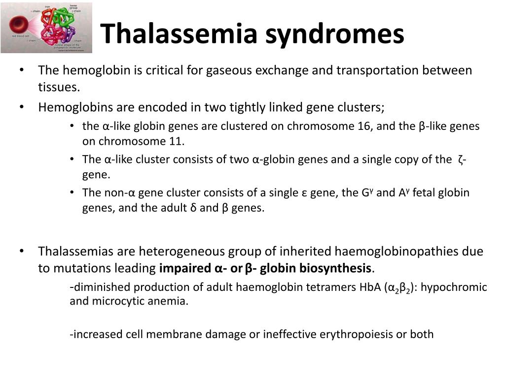 Ppt Thalassemia Powerpoint Presentation Free Download Id 2109524