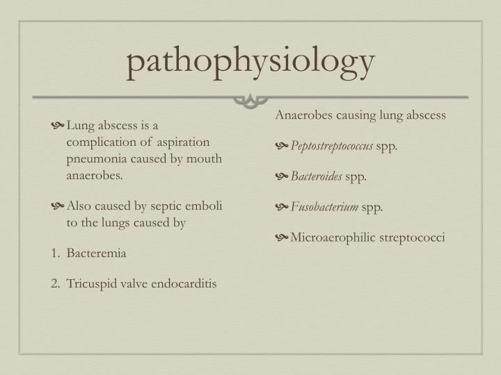 PPT - LUNG ABSCESS PowerPoint Presentation - ID:2109889