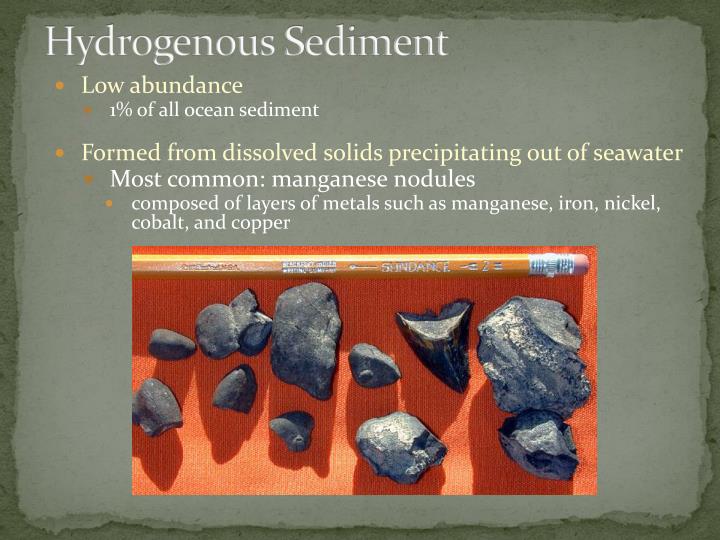 PPT - Chapter 14: Sediments PowerPoint Presentation - ID:2109927