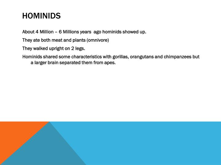 PPT - Evolution of Primates PowerPoint Presentation - ID:2109955