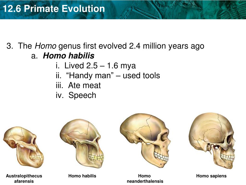 PPT - KEY CONCEPT Humans appeared late in Earth’s history. PowerPoint ...