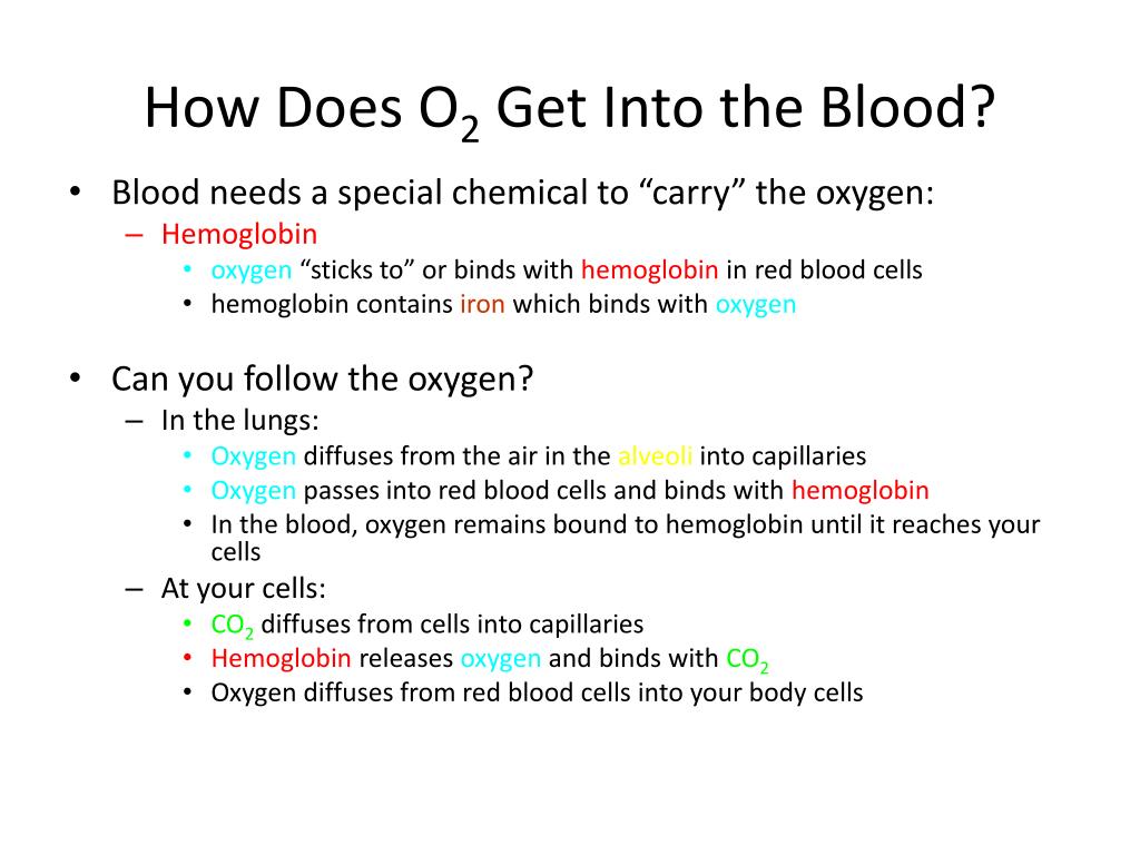 PPT - Respiration & Gas Exhange PowerPoint Presentation, free download ...