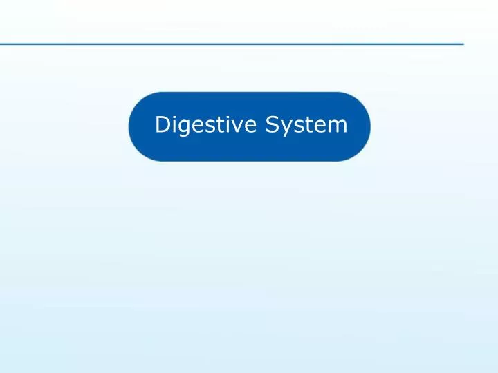 PPT - Digestive System PowerPoint Presentation, free download - ID:2110341