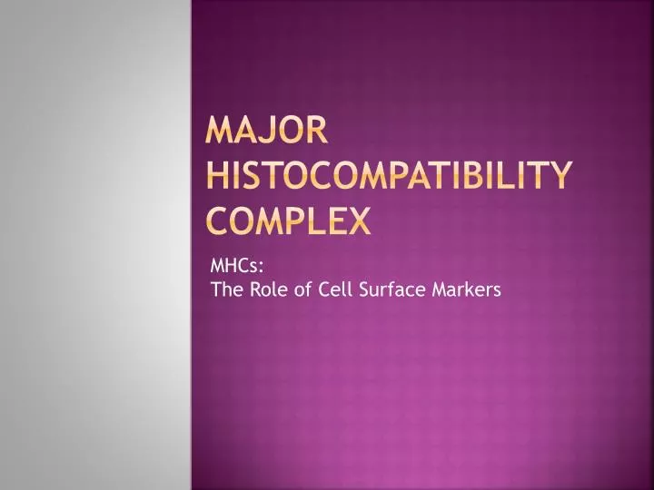 PPT - Major histocompatibility complex PowerPoint Presentation, free ...