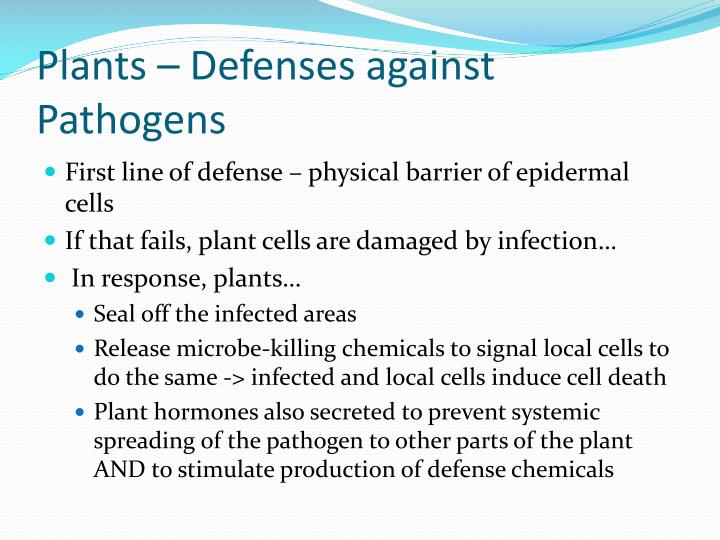 PPT - The Immune System PowerPoint Presentation - ID:2111214