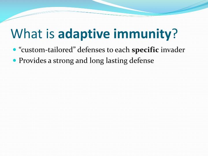 PPT - The Immune System PowerPoint Presentation - ID:2111214