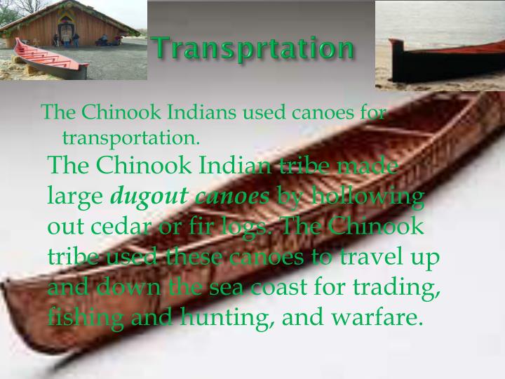 PPT - Chinook Indians PowerPoint Presentation - ID:2111542