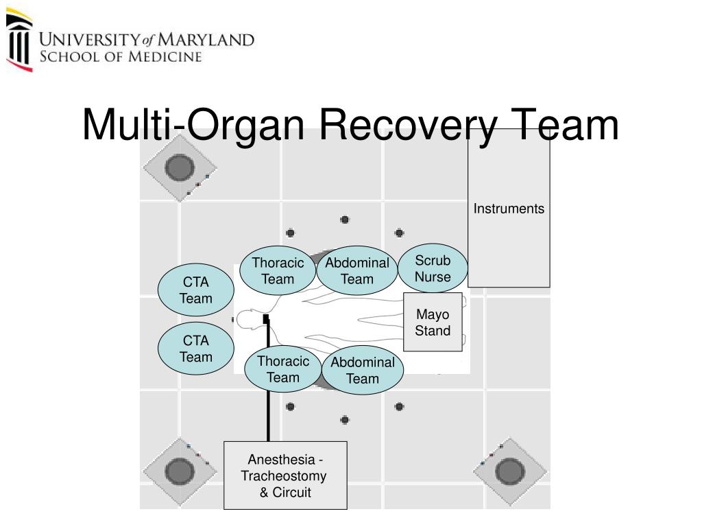 PPT - Rolf N. Barth, M.D. Department of Surgery University of Maryland ...