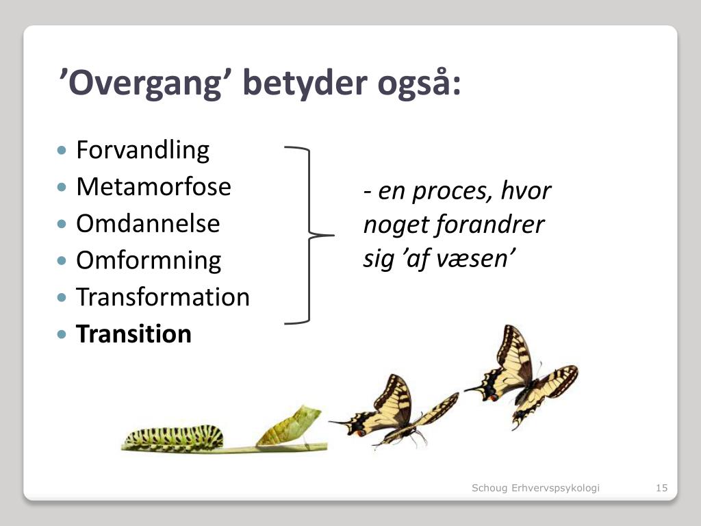 PPT - Overgangen mellem børnehave, Skole og SFO Ny viden og teori ...