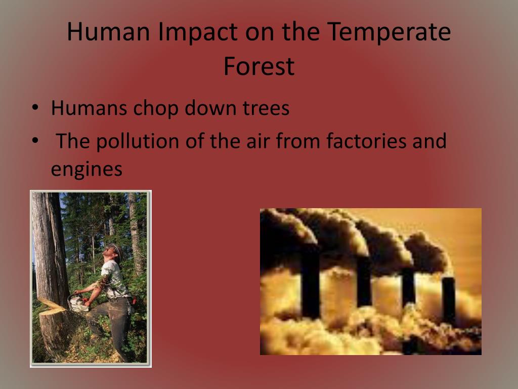 PPT - Jess Hagen, Tom Krouse , Alyssa Christiansen, Erin Leary ...