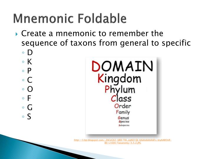 PPT - Unit 13 – Taxonomy PowerPoint Presentation - ID:2112644