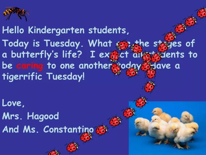 PPT - Hello Kindergarten students, PowerPoint Presentation, free ...