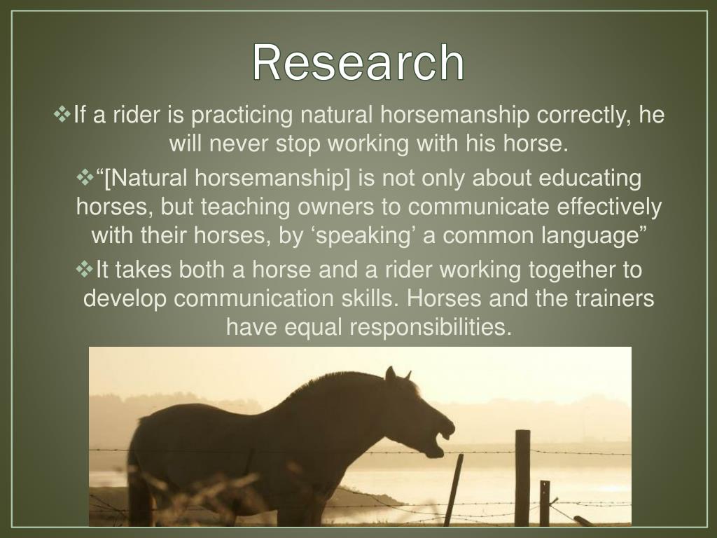 PPT - The Sport and History of Western Horsemanship and Rodeos ...