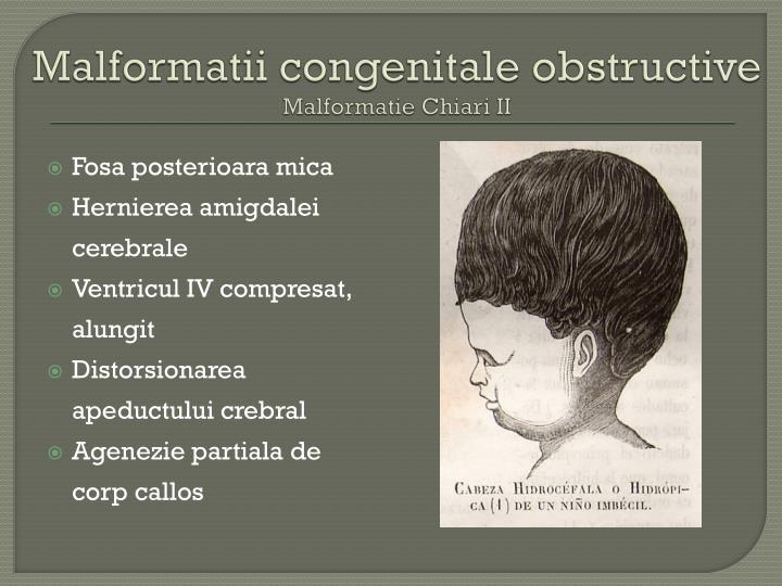 PPT - Putina anatomie … Fara nu se poate … PowerPoint Presentation - ID ...