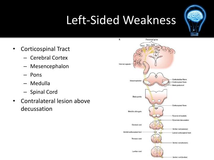 PPT - DisPONnect PowerPoint Presentation - ID:2114109