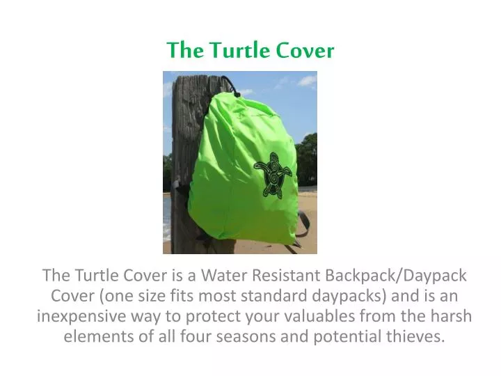 PPT - The Turtle Cover PowerPoint Presentation, free download - ID:2114566