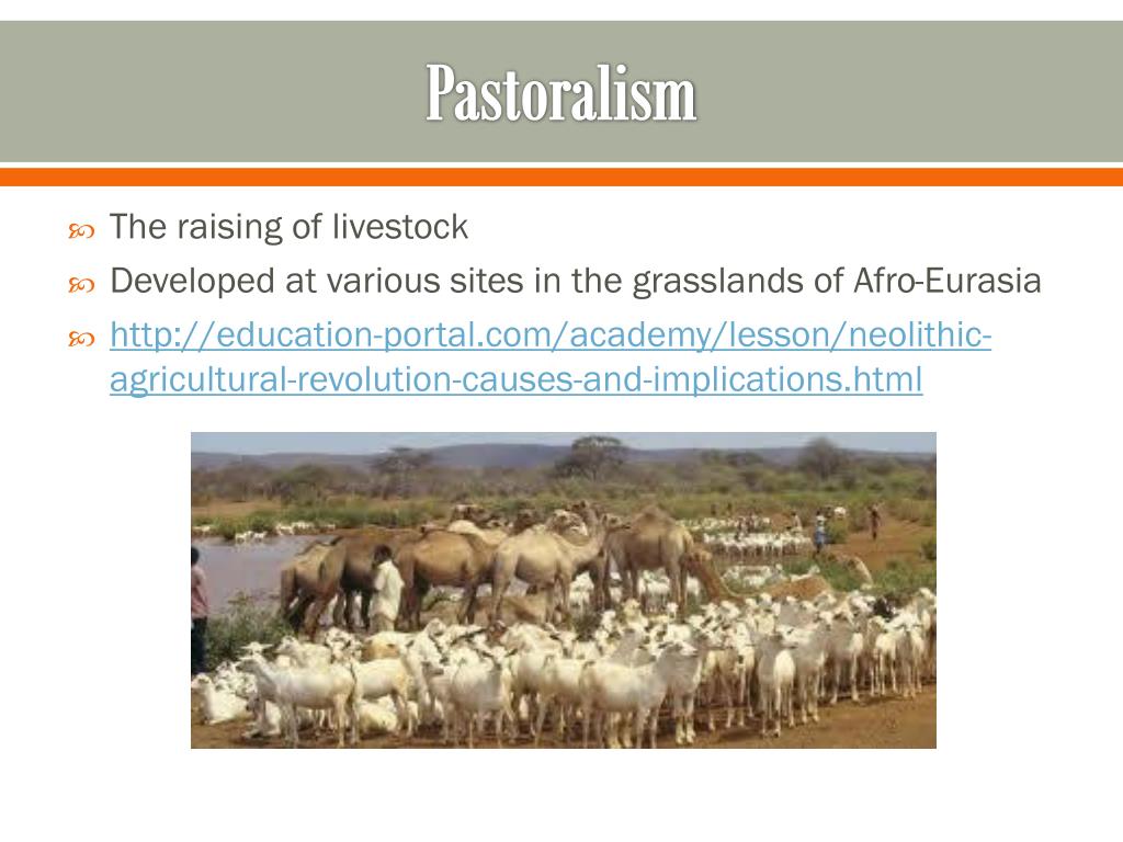 PPT - Key Concept 1.2 The Neolithic Revolution and Early Agricultural ...