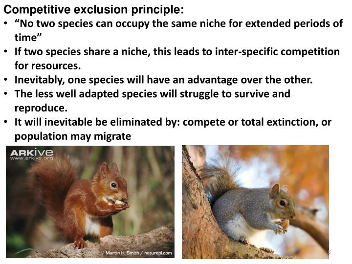 PPT - Chapter 54 – Community Ecology PowerPoint Presentation - ID:2114599