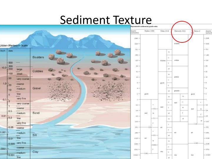 PPT - Marine Sediments PowerPoint Presentation - ID:2114731