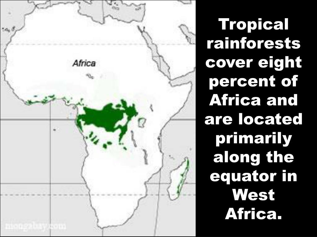 PPT - Temperatures in the rainforest are constant, ranging between 70 ...