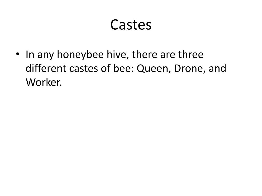 PPT - Honeybees: Sexes and Castes PowerPoint Presentation, free ...